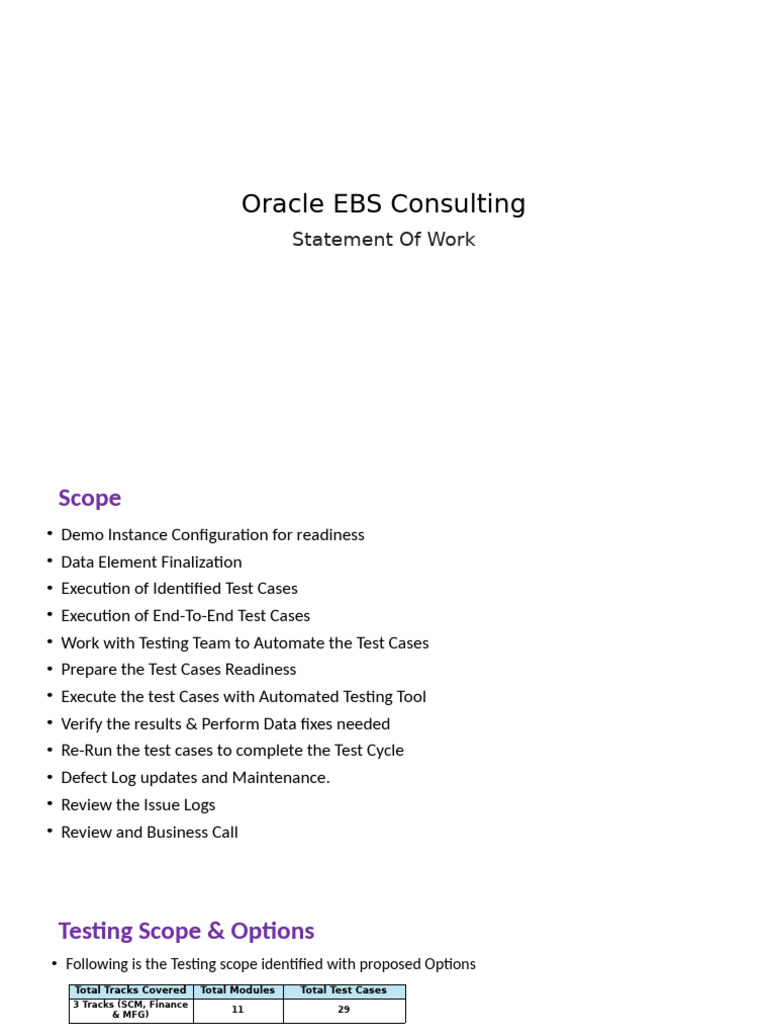Oracle EBS Consulting SOW v1.0 | PDF