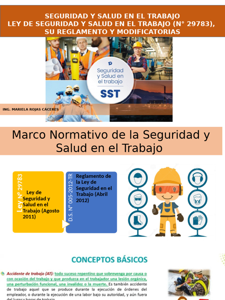 N° 2 Ley N°29783 Ley de Segudidad y Salud en El Trabajo | PDF