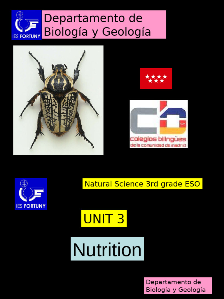 Unit3 Nutrition1 | PDF