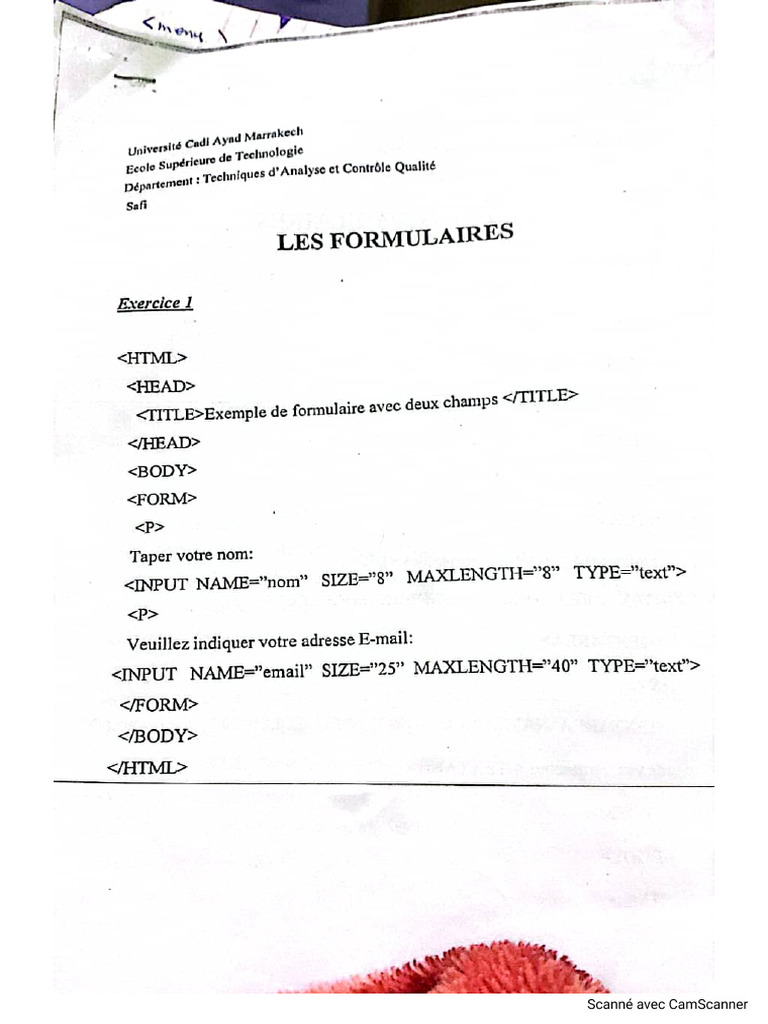 Les Formulaires | PDF