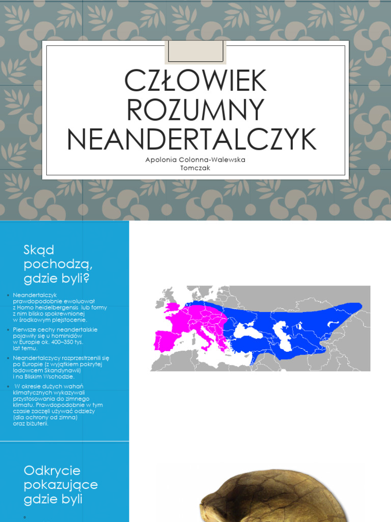 Prezentacja Czlowiek Rozumny Neandertalczyk | PDF