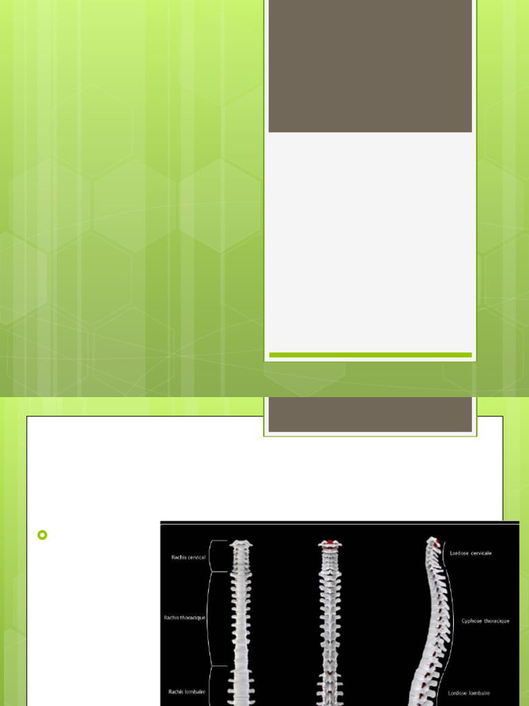Apunte Nº2 Alteraciones Posturales. | PDF