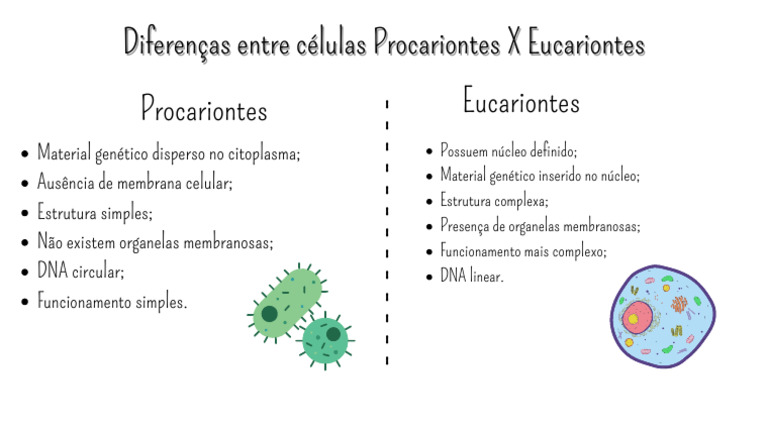 Diferenças Entre Células Procariontes X Eucariontes (Histologia 1° Sem ...