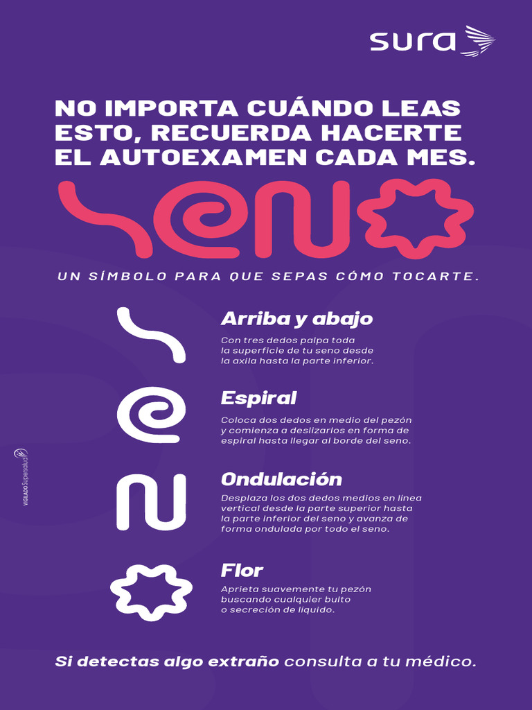 Instructivo Seno | PDF