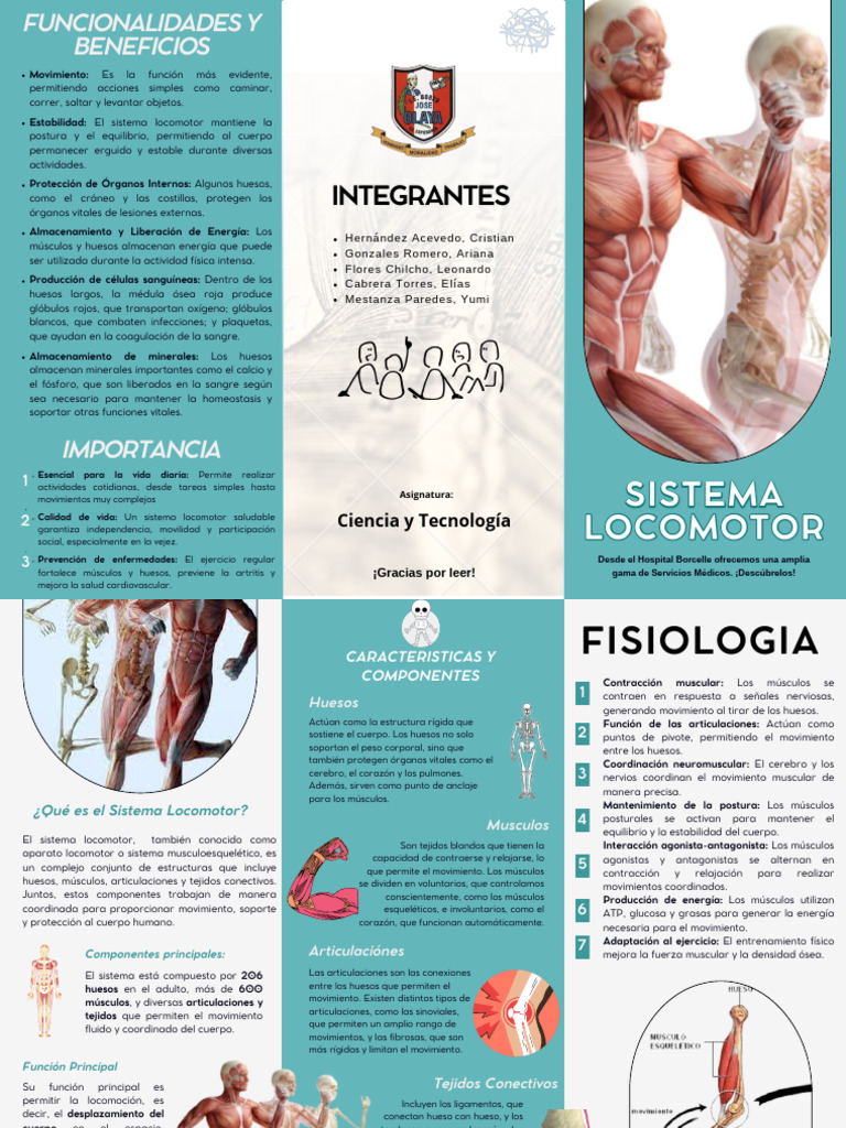 Folleto Tríptico Salud Hospital Profesional Verde y Blanco | PDF