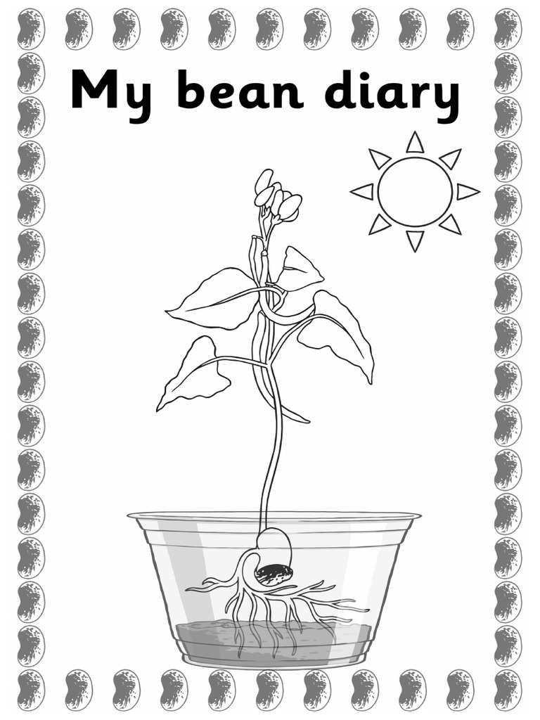 Bean Diary Grade 1 | PDF