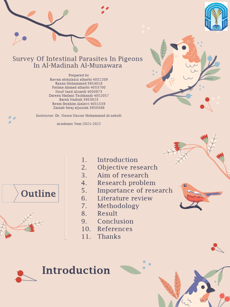 Graduation Project Final | PDF