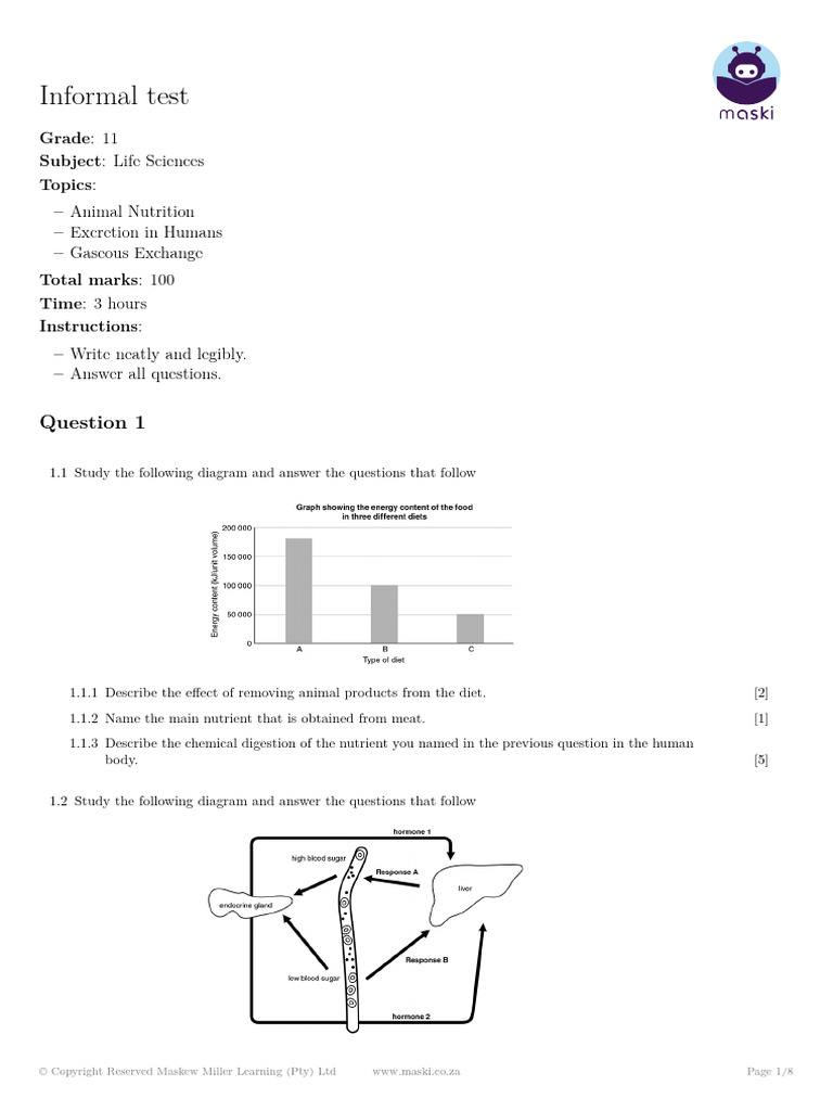 Informal Test 100 20240909065637 | PDF