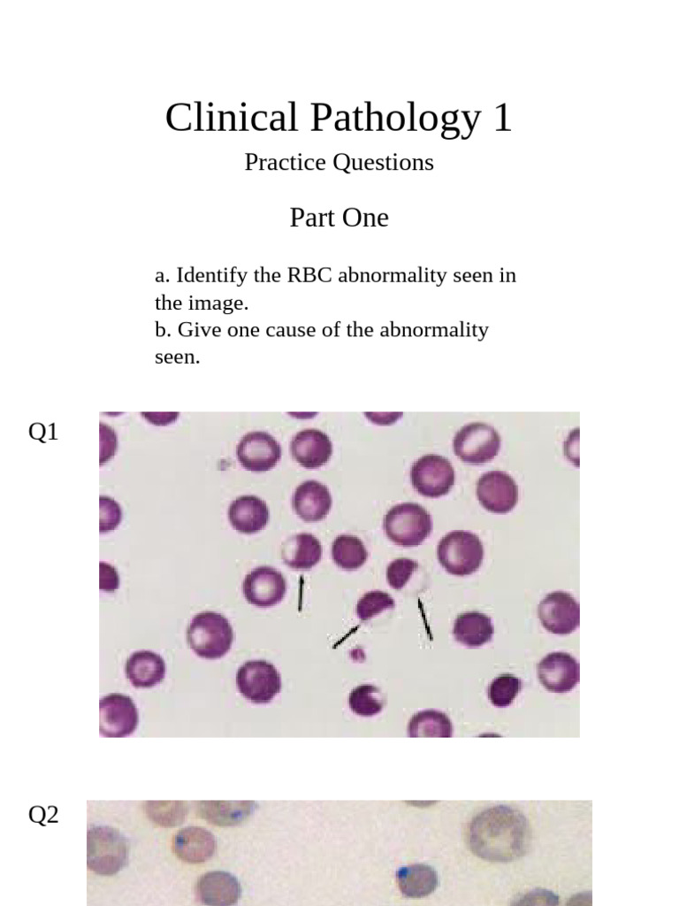Clinical Pathology 1 Practice | PDF