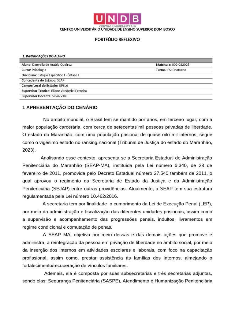 Cópia de Portfólio Reflexivo - Danyella | PDF