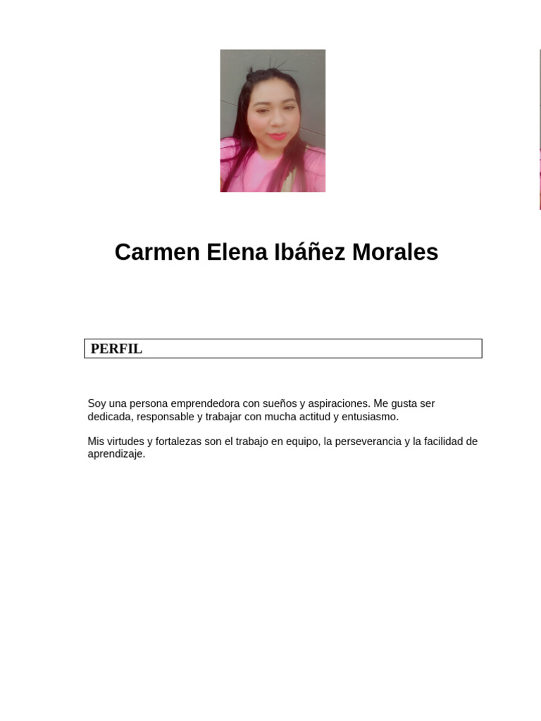 Formato de Hoja de Vida ELENA | PDF