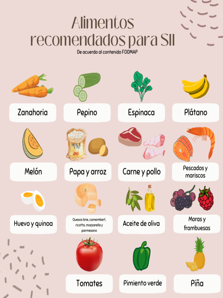 Alimentos Recomendados para SII | PDF