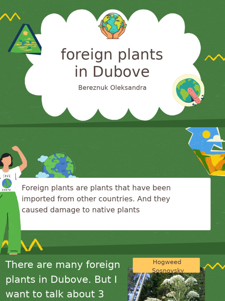 Foreign Plants in Dubovo | PDF
