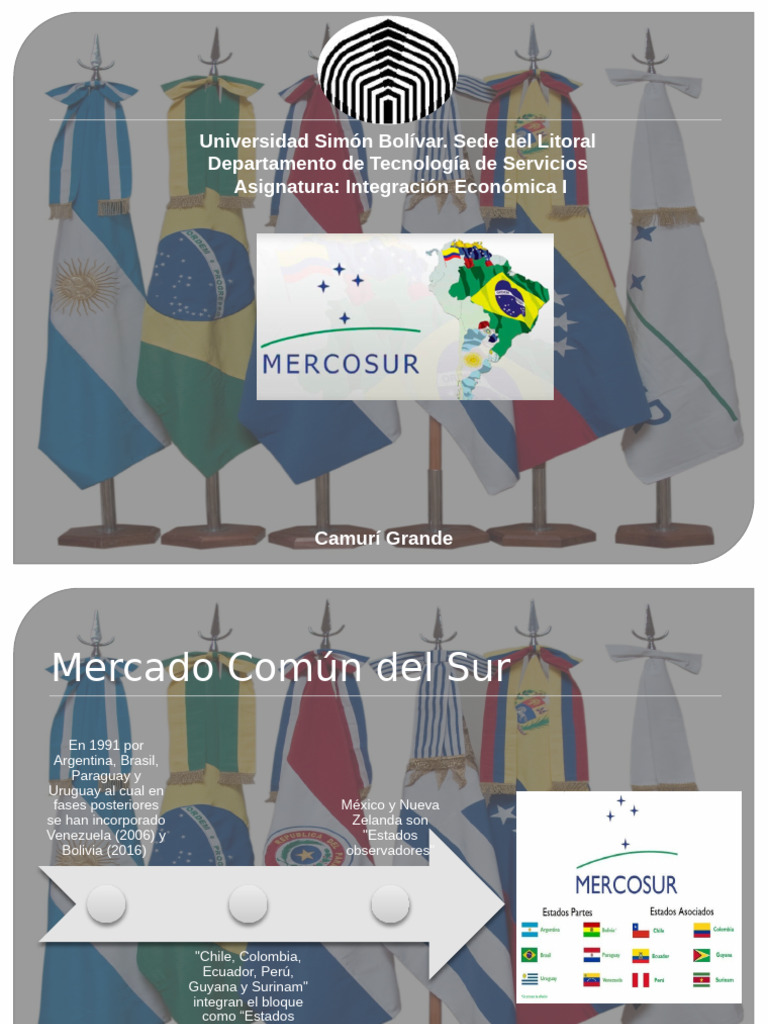 Tema V Mercosur | PDF