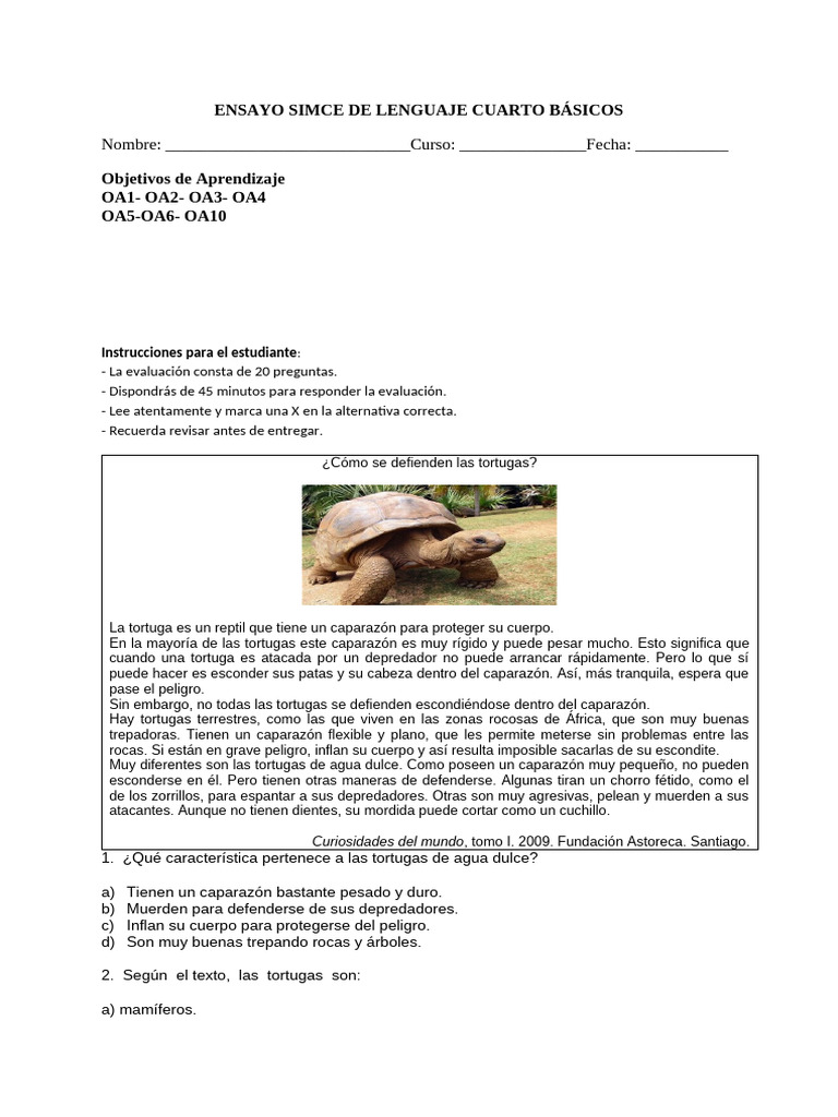 Ensayo 3 Simce 2024 | PDF