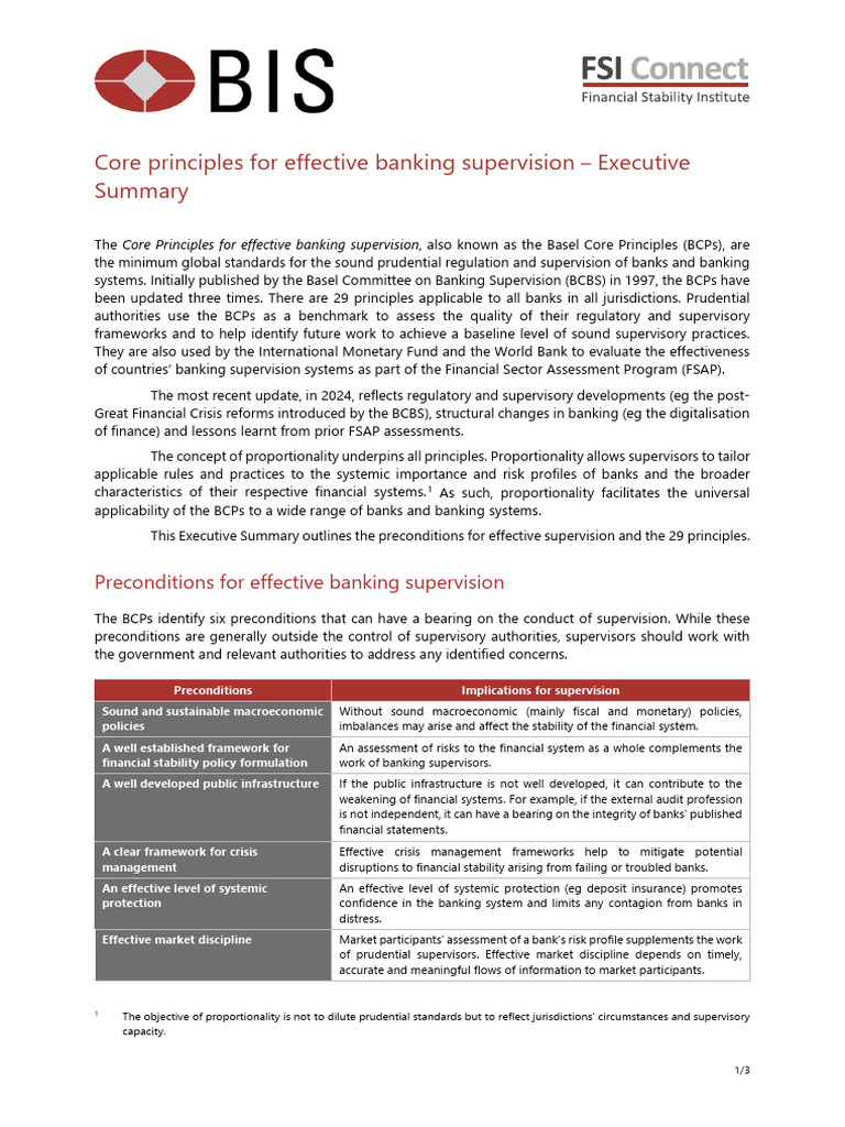 Executive Summary-2024 Core Principles | PDF