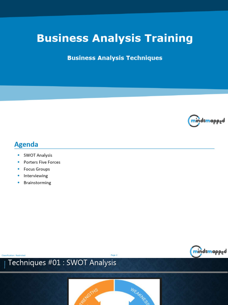 Business Analysis Techniques | PDF