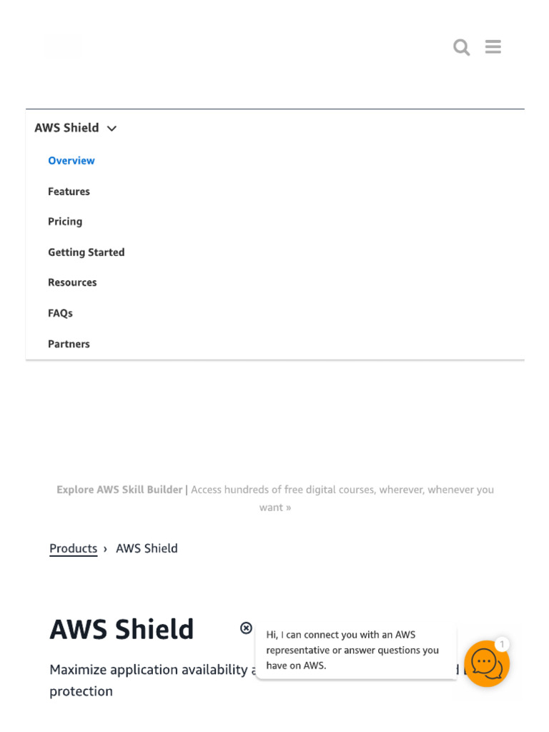 Aws Shield | PDF