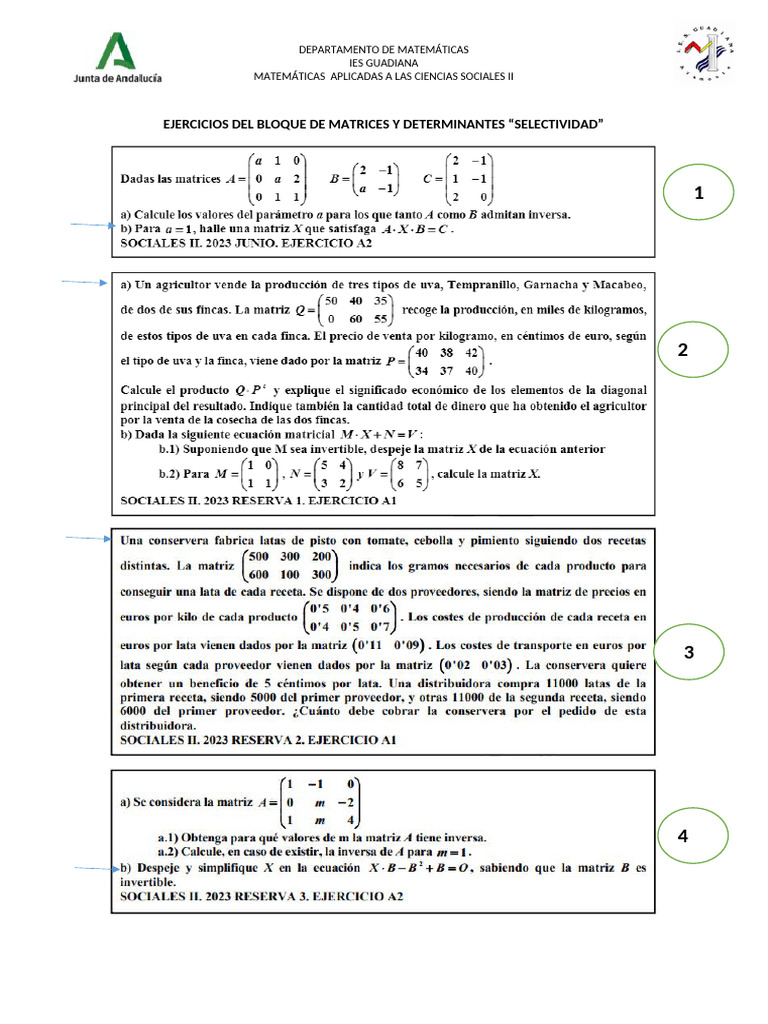 Ejercicios Del Bloq Matrices y Det MCS Ii 23-24 | PDF