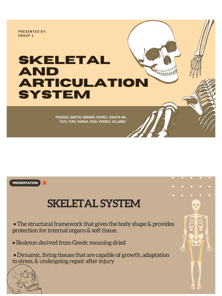 Skeletal 5 | PDF