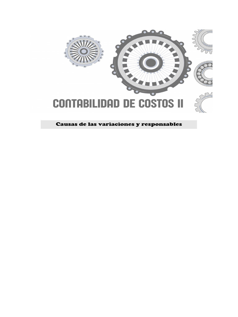 Causas de Las Variaciones | PDF