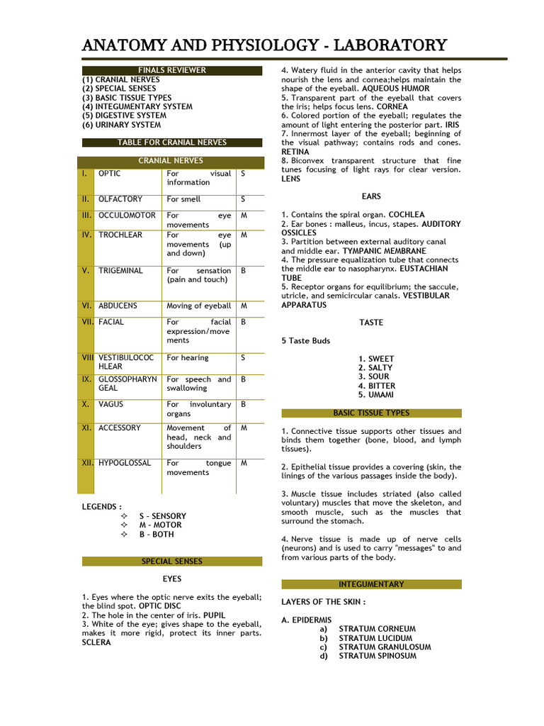 Anaphy Lab Finals Module 3 | PDF