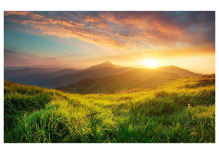 Inteligencia Artificial Aprende A Reconstruir Imagens Vistas Por ... Inteligencia Artificial Aprende A Reconstruir Imagens Vistas Por ...