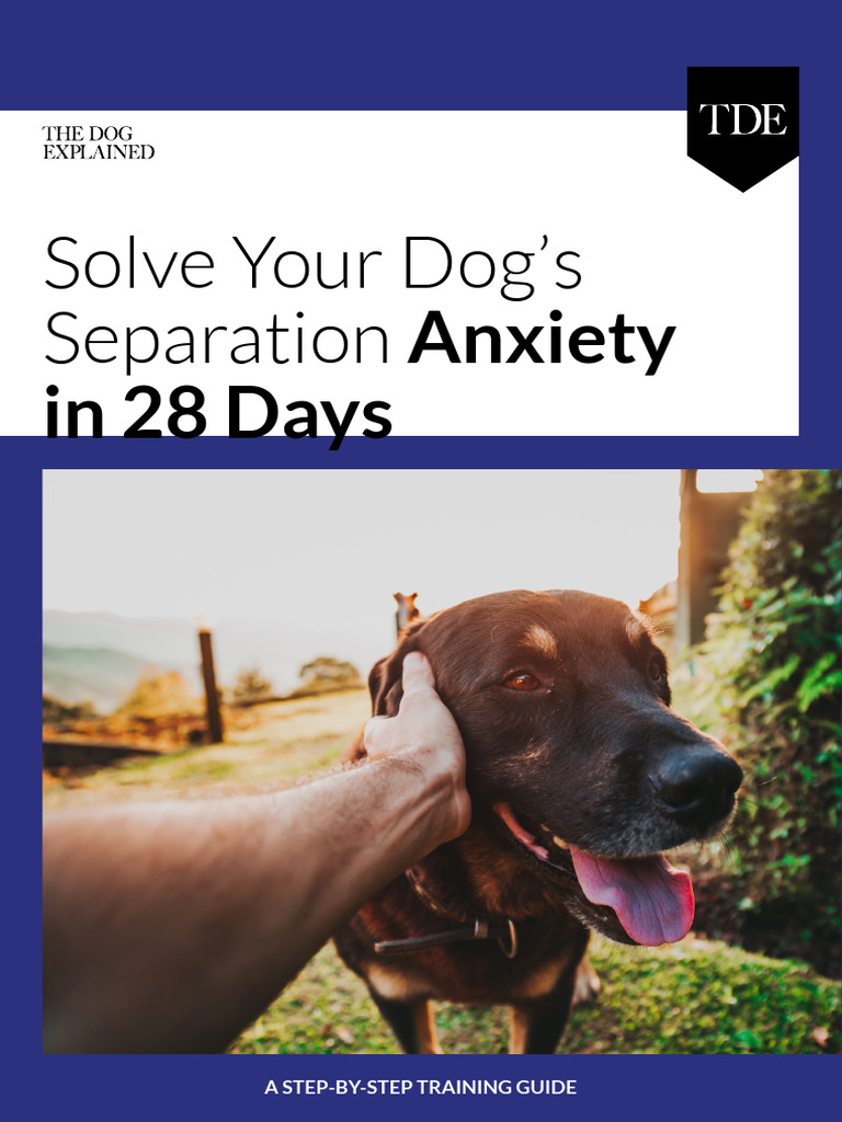 28 Day Plan To Solve Your Dog's Separation Anxiety | PDF