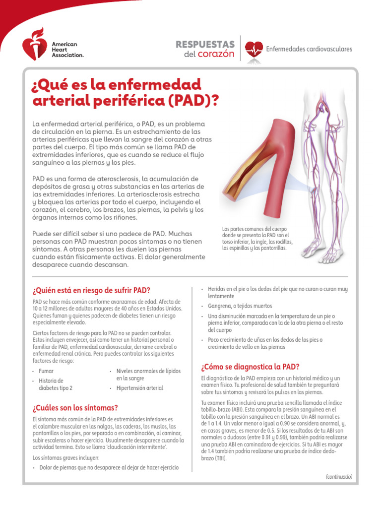 What Is PAD - Spanish | PDF