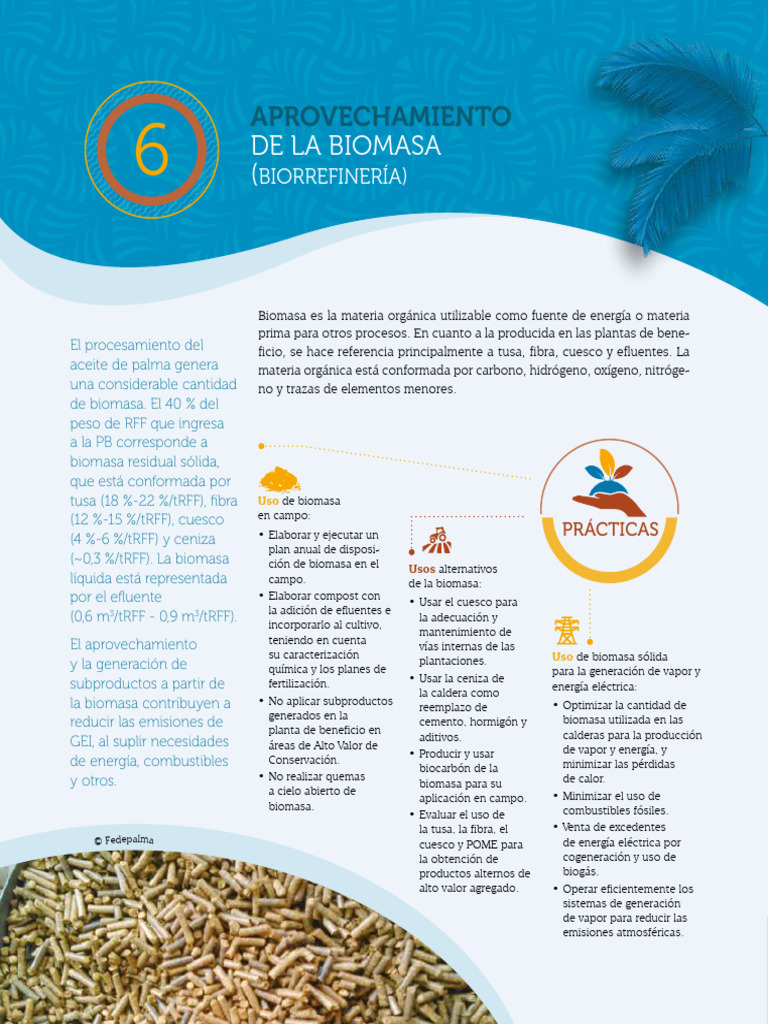 Infografia 6 - MPBC - Aprovechamiento de La Biomasa - Compressed | PDF