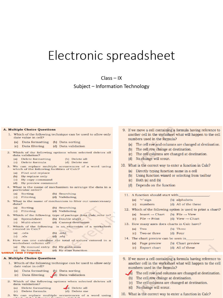 Electronic Spreadsheet | PDF