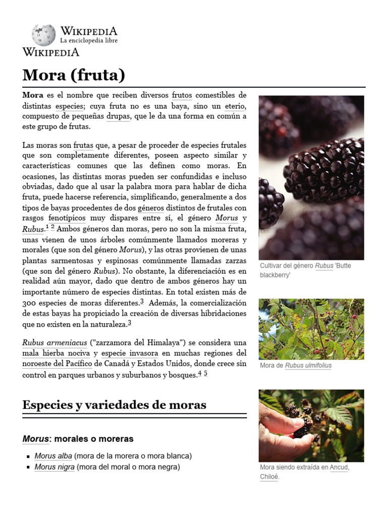 Mora (Fruta) : Especies y Variedades de Moras | PDF
