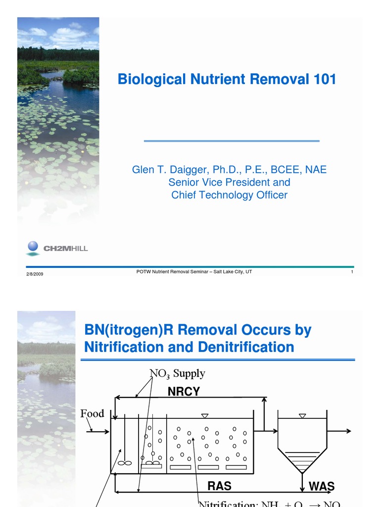 Biological Nutrient Removal | PDF | Sewage Treatment | Nutrients