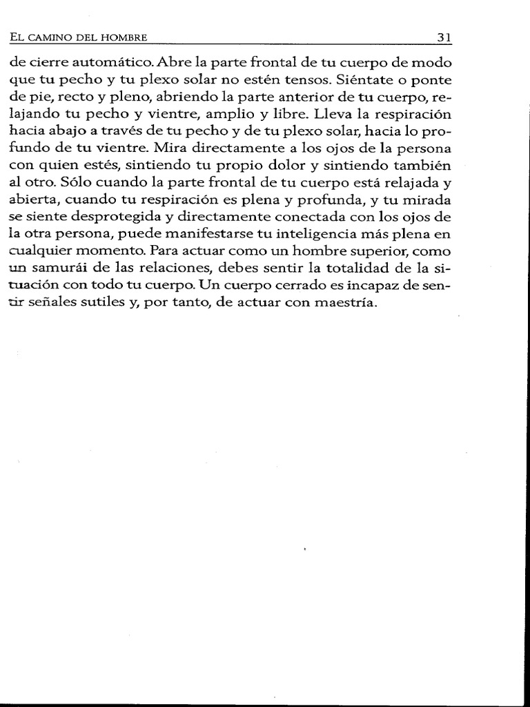 Dividido 20240929 1427 | PDF