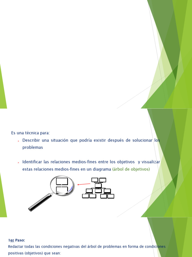 Análisis de Objetivos y Alternativas en Proyectos | PDF | Negocios