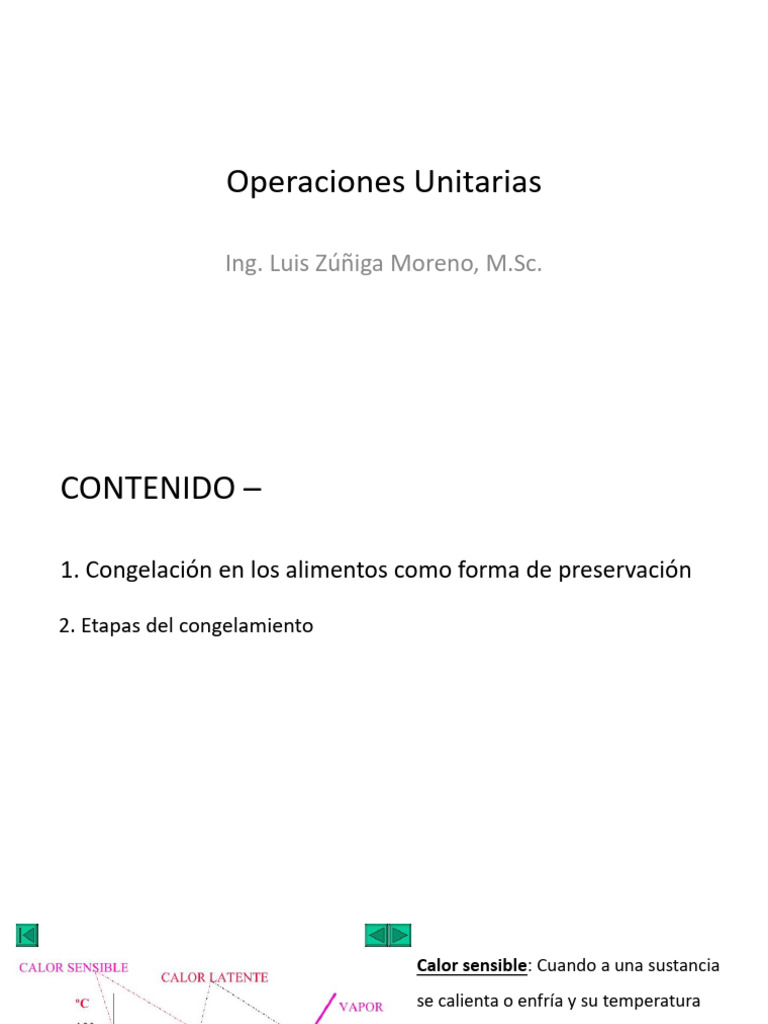 Congelación de Alimentos: Métodos y Beneficios | PDF | Alimentos | Química