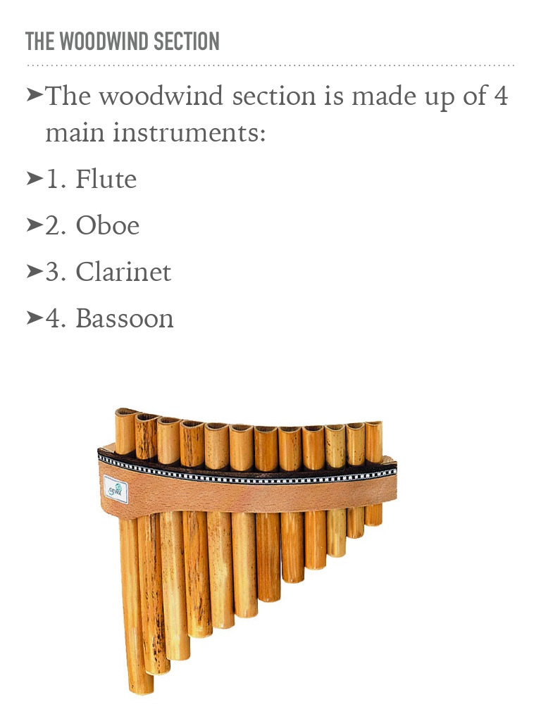 Instruments of The Orchestra - Woodwind Section:Family - Part 1 | PDF
