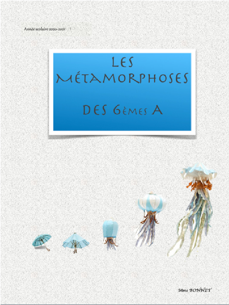 Métamorphoses 6e | PDF