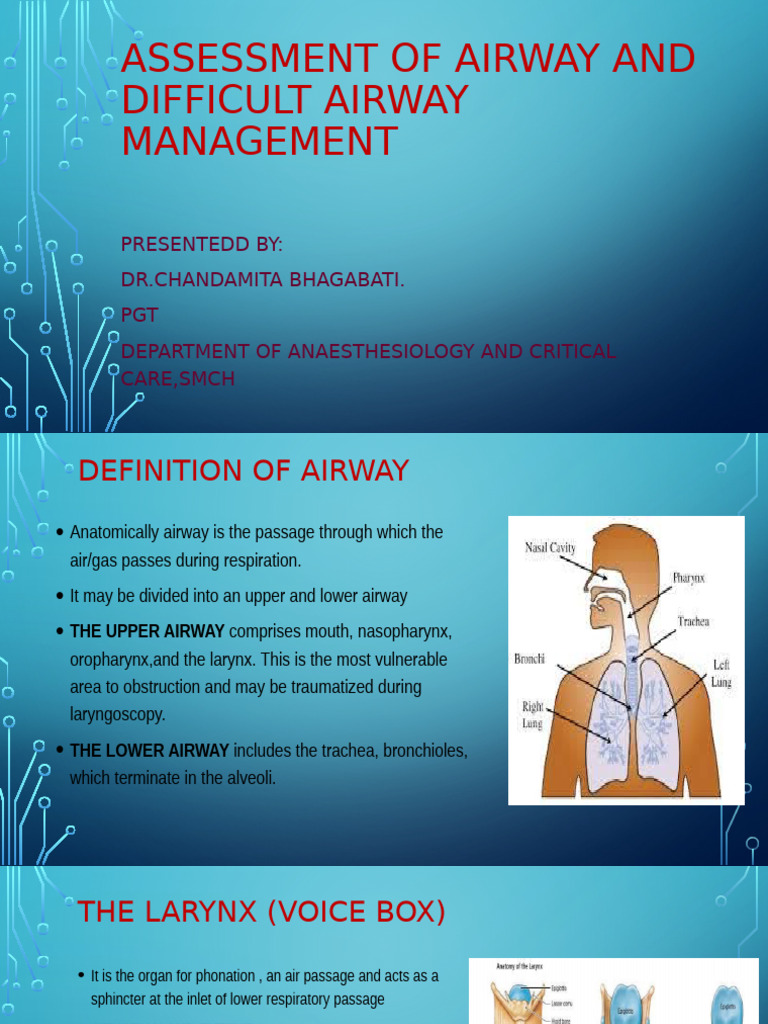 Assessment of Airway and Difficult Airway Management | PDF