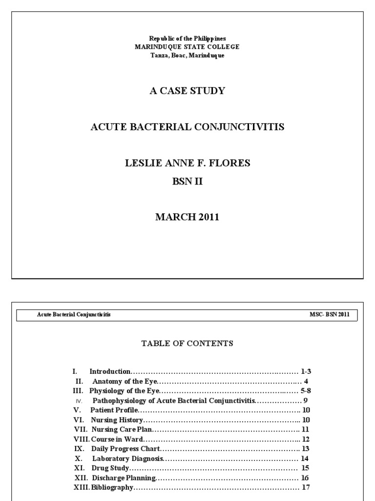 Case Study 1 | PDF | Human Eye | Visual System