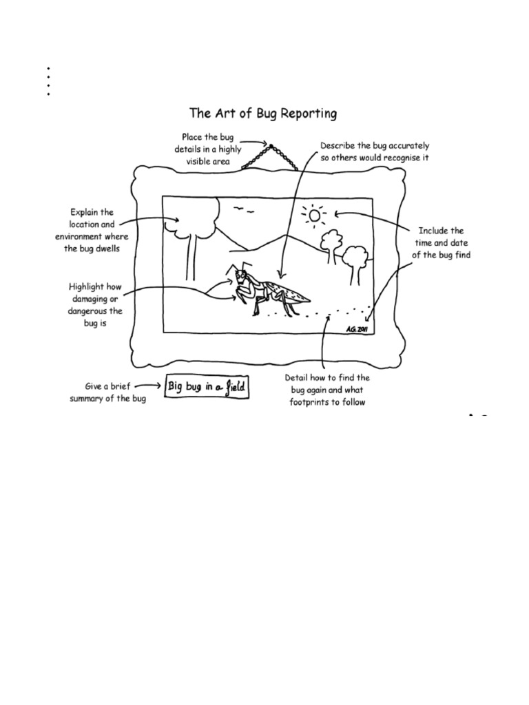 Bug Creation Process | PDF