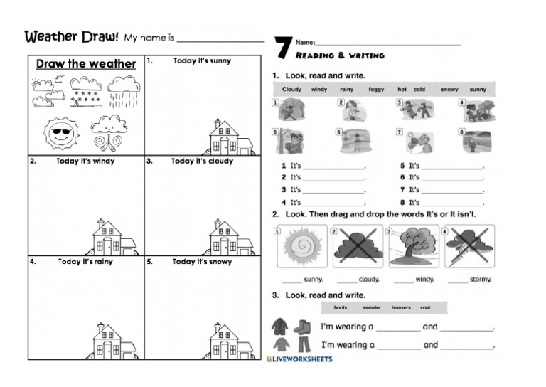 Worksheet Weather | PDF