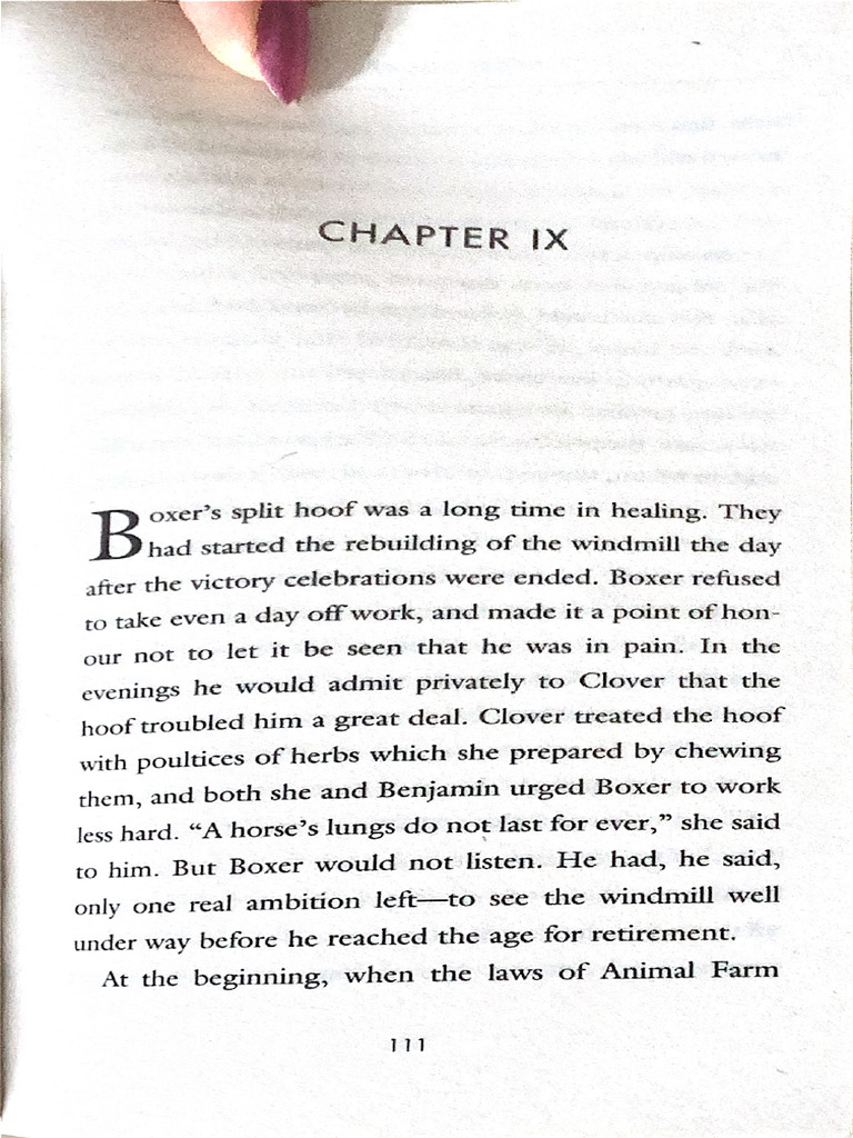 Animal Farm Excerpt | PDF