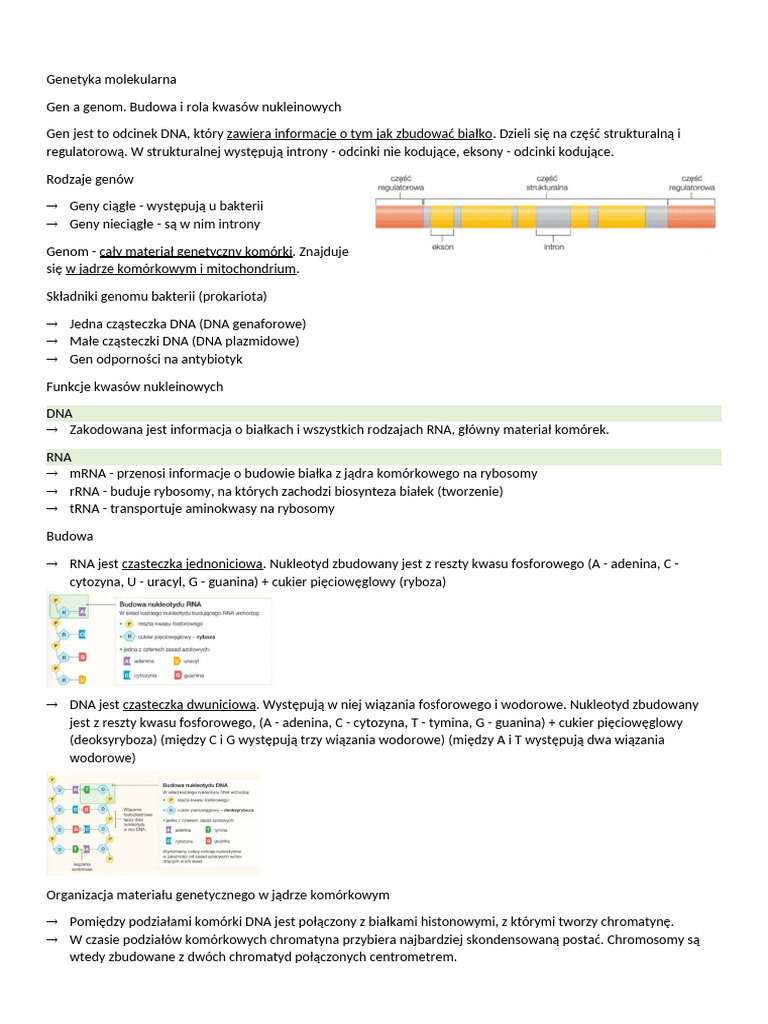 Genetyka Molekularna | PDF