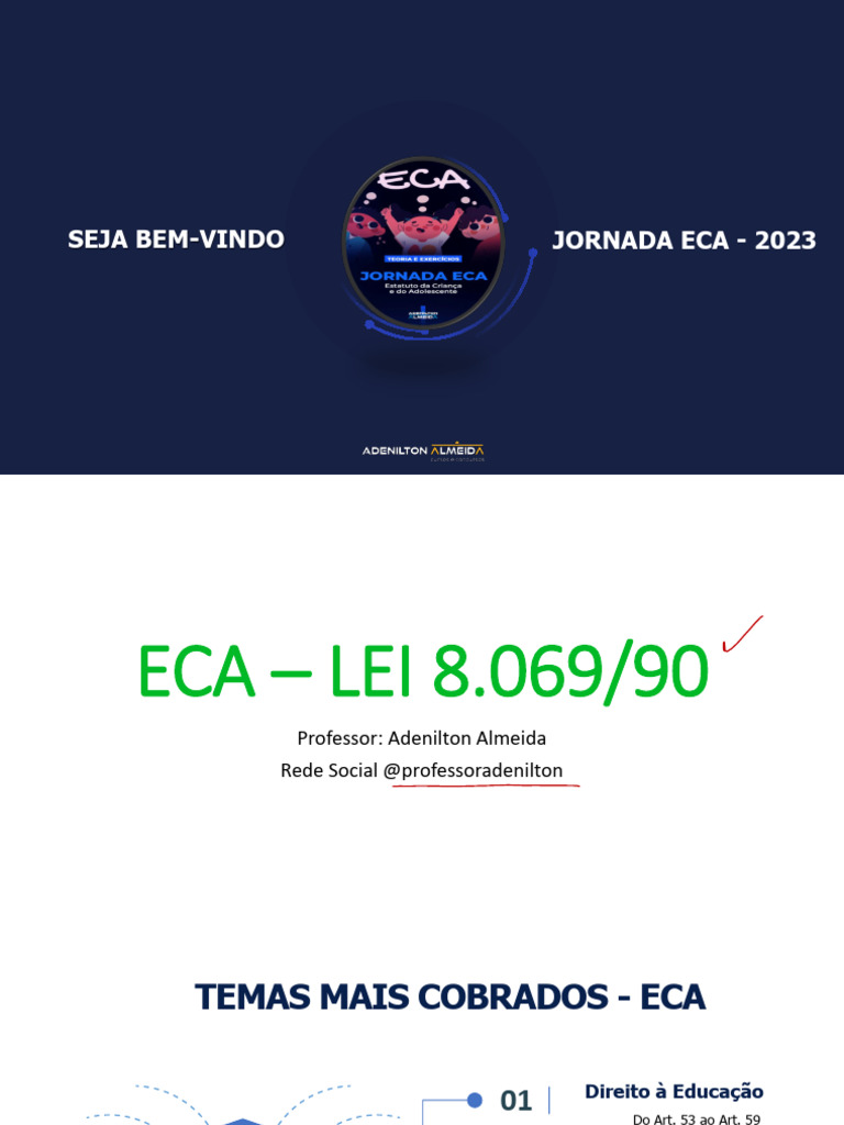 Slides Utilizados Na Aula 01 - ECA - Prof. Adenilton | PDF