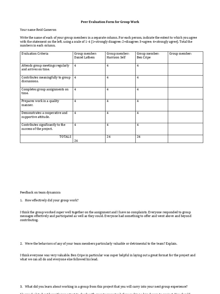 Peer Evaluation | PDF