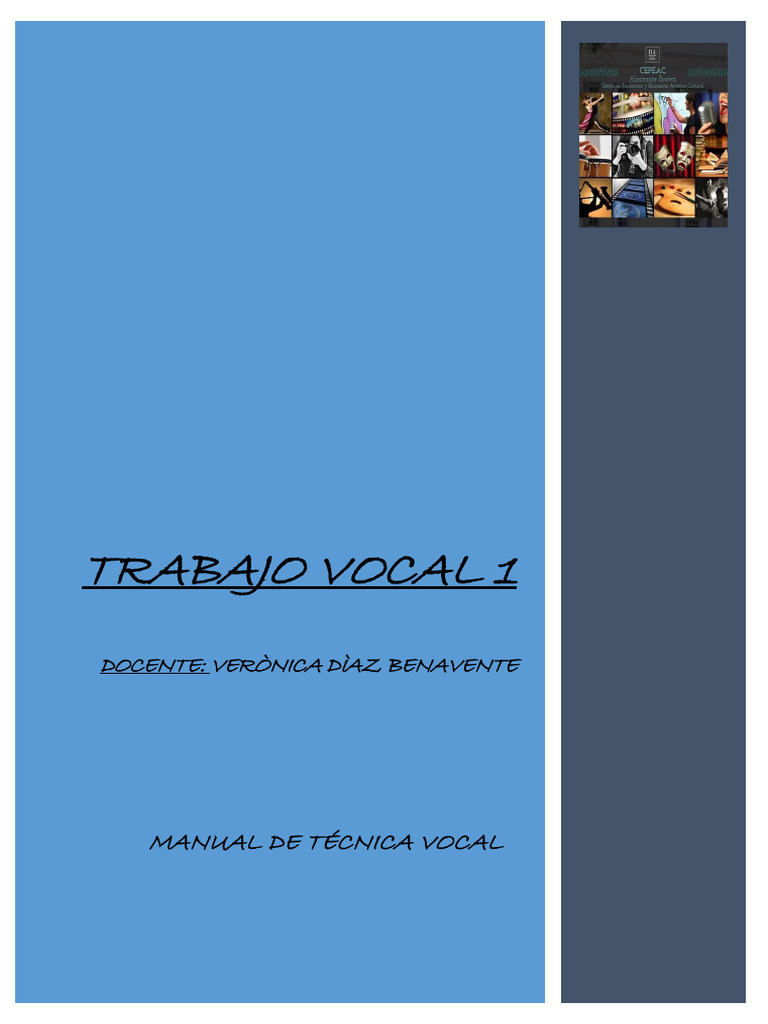 Manual de Técnica Vocal e Cuidados | PDF | Respiração | Artes ...