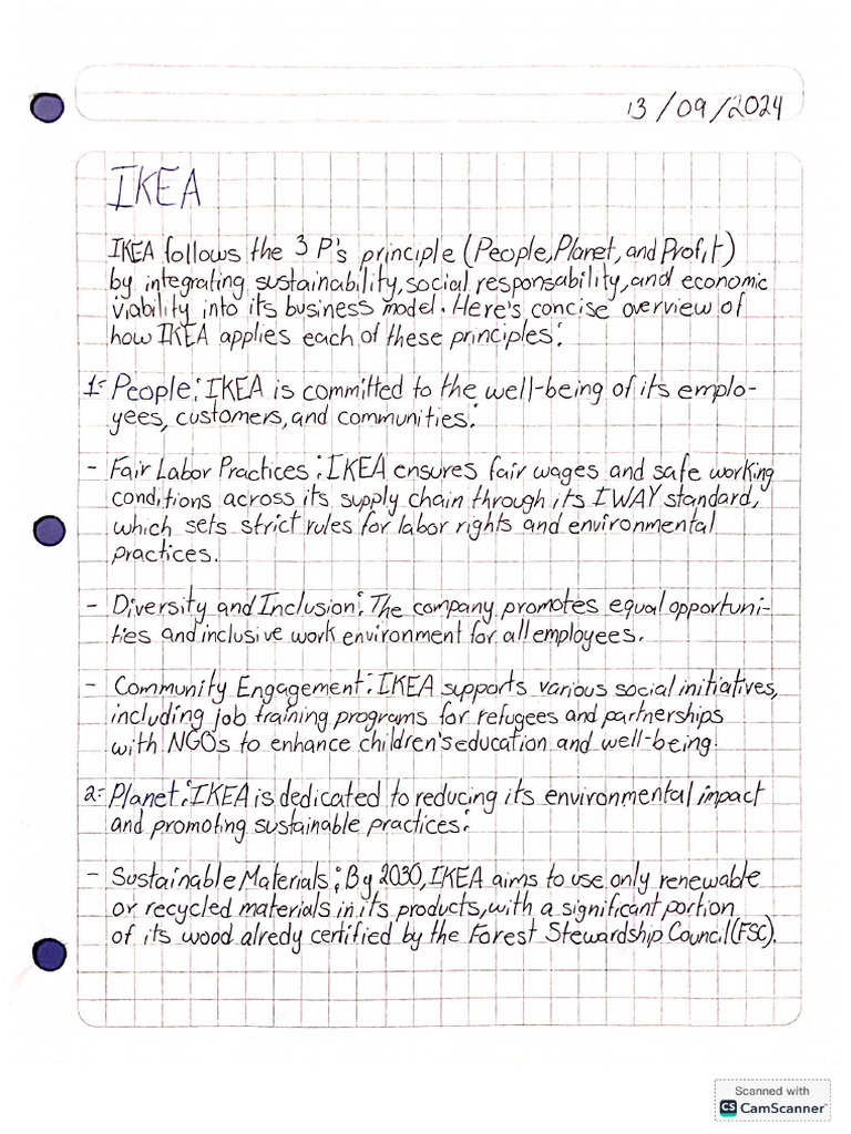The Triple P Concept | PDF