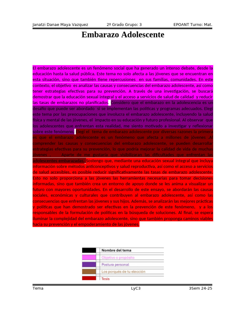 Formato para Investigaciones de Lyc3 3s 24-25 | PDF | Juventud | Salud ...