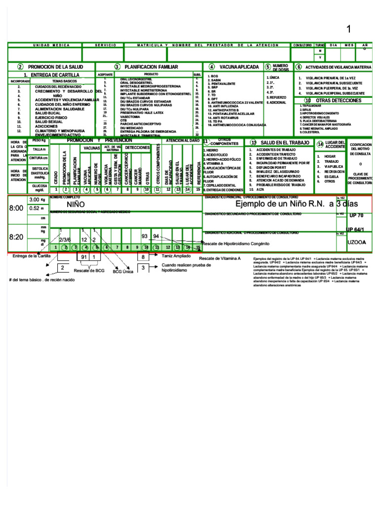 PDF Hoja Rais 2012 - Compress | PDF